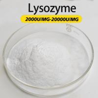 China Lysozyme Enzyme 20000U/MG FSSC22000 MUI Kosher System Certification Customizing Enzyme Activity Specifications for sale