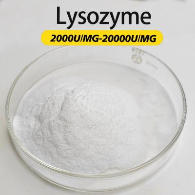 China Lysozyme Enzyme 20000U/MG FSSC22000 MUI Kosher System Certification Customizing Enzyme Activity Specifications for sale