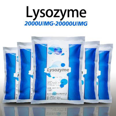 China Food Preservation Lysozyme Powder Water Soluble Lysozyme Enzyme for sale
