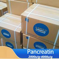 China Powder Like Pork Pancreas Enzymes 2000u/G-4000u/G Fully Soluble In Water for sale