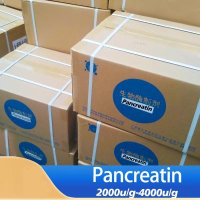 China Powder Like Pork Pancreas Enzymes 2000u/G-4000u/G Fully Soluble In Water for sale