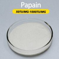 China Water Soluble Papain In Papaya Leaves 50TU/MG-1000TU/MG 300USP-6000USP for sale
