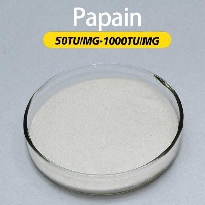 China Water Soluble Papain In Papaya Leaves 50TU/MG-1000TU/MG 300USP-6000USP for sale