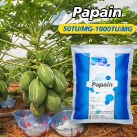 China Original Papaya Enzyme 50TU/MG-1000TU/MG Protease Manufacturer Customized Enzyme Activity for sale