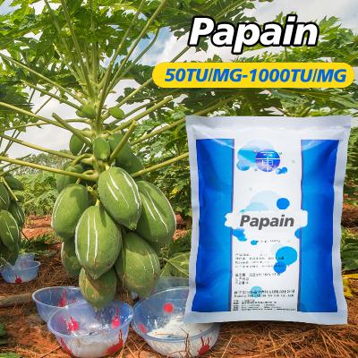 China Original Papaya Enzyme 50TU/MG-1000TU/MG Protease Manufacturer Customized Enzyme Activity for sale