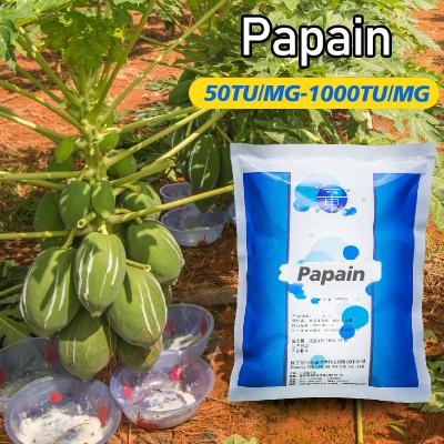 China White Original Papaya Enzyme Powder 50TU/MG-1000TU/MG Origin Of Papaya Cultivation for sale