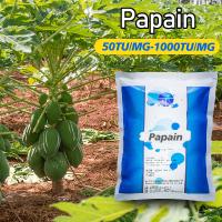 China Organic Papaya Enzyme 50TU/MG-1000TU/M Powder Like Fully Soluble In Water Customized Food Grade&pharmaceutical Grade for sale