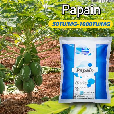 China Organic Papaya Enzyme 50TU/MG-1000TU/M Powder Like Fully Soluble In Water Customized Food Grade&pharmaceutical Grade for sale