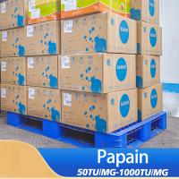 China Green Papaya Enzyme Powder Protein Peptide Processing And Amino Acid Production for sale