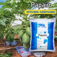 China 2000000U/G Papain In Meat Tendering Treatment Of Beef Pork And Chicken Ingredients for sale