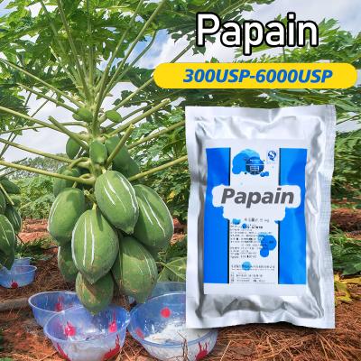 China Pharma Grade Plant Protease Enzyme 300USP-6000USP Papain Manufacturer for sale