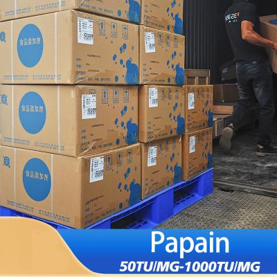 China Gluten Protease 2400000U/G For Flour Gluten Reduction Bread Baking Production for sale