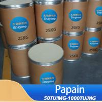 China Papaya Papain Enzyme 300USP-6000USP Papaya Extract Protease Powder for sale