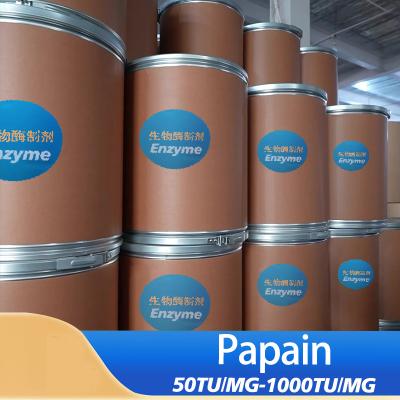 China Food Production Papain Enzymes 300USP-6000USP Protease Powder Raw Material for sale