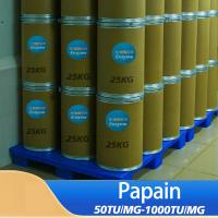 China 300USP-6000USP Protease Enzyme Food Pharmaceutical Grade Papain Customized for sale