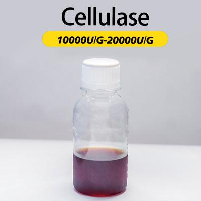 China 10000U/G Commercial Cellulase For Juice Wine Plant Extraction for sale