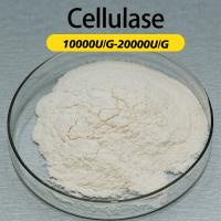 China Cellulase Enzyme 10000U/G  Enzyme Preparation Sample Testing Enzymatic Hydrolysis Technology Guidance for sale