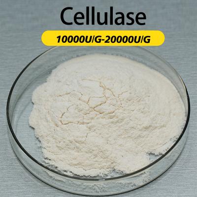 China Cellulase Enzyme 10000U/G  Enzyme Preparation Sample Testing Enzymatic Hydrolysis Technology Guidance for sale