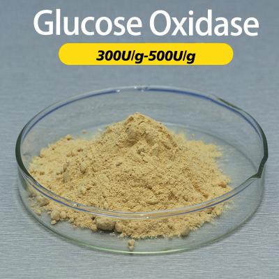 China Yellow Glucose Oxidase Enzyme Powder Providing Enzyme Preparation Sample for sale