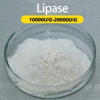 China Enzyme That Breaks Down Fatty Acids 20000U/G Lipase For Baking for sale