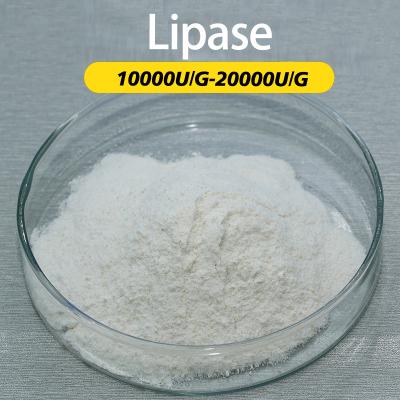 China Enzyme That Breaks Down Fatty Acids 20000U/G Lipase For Baking for sale