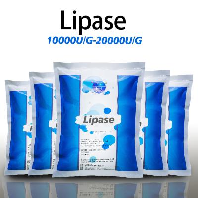 China Water Soluble Lipase In Bread 10000U/G-20000U/G Lipase Enzyme Powder for sale