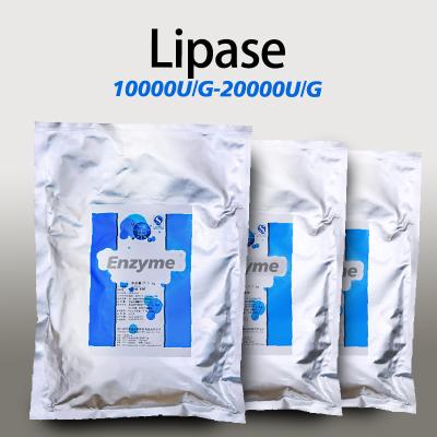China Food Baking Lipase Powder Customized Lipase Enzyme Powder Soluble In Water for sale
