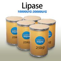 China White Powder Enzyme Of Fats 20000U/G Lipase Customized Enzyme Activity for sale