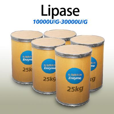China White Powder Enzyme Of Fats 20000U/G Lipase Customized Enzyme Activity for sale