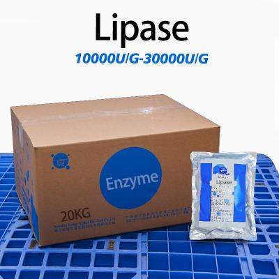 China 20000U/G Lipase Breaks Down Fats For Food & Baking Processing for sale