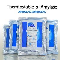 China White Powder High Amylase Starch 200000u/G Thermostable Alpha Amylase for sale