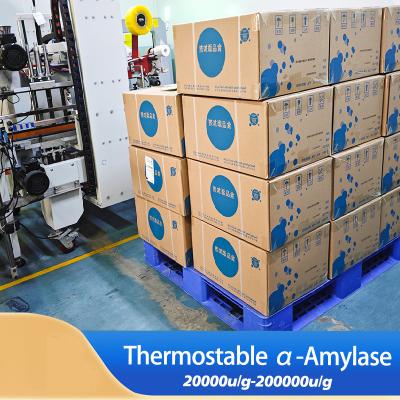 China Powder Like Thermostable Alpha Amylase 200000u/G Water Soluble Food Enzymes for sale
