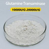 China Food Grade Transglutaminase Enzyme 1000U/G Providing Enzyme Preparation Sample Minimum Order 1kg for sale