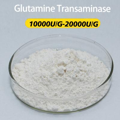 China Food Grade Transglutaminase Enzyme 1000U/G Providing Enzyme Preparation Sample Minimum Order 1kg for sale