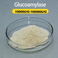China Food Grade Glucoamylase Powder Industrial Grade Enzyme Activity Can Be Customized for sale