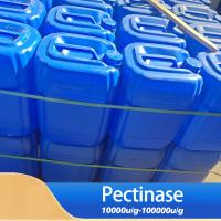 China Liquid Fruit Juice Pectinase 20000U/G  Fruit And Vegetable Enzymes for sale