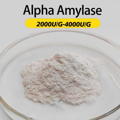 China 4000U/G Alpha Amylase Enzyme Powder Like Fully Soluble In Water Minimum Order 1kg for sale