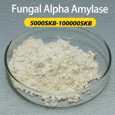 China Food Baking Fungal Alpha Amylase Enzyme 5000SKB-100000SKB Powder for sale