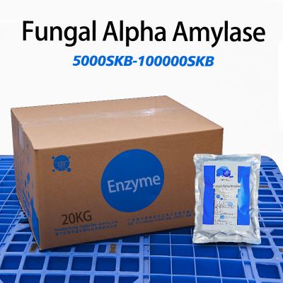 China 10000SKB Baking Industry Enzymes For Increasing Bread Volume Fungal Alpha Amylase for sale