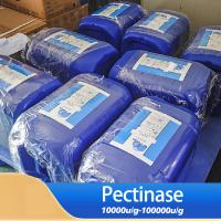 China 20000U/G Pectinase Enzyme Pectinase Liquid Customized Enzyme Activity for sale