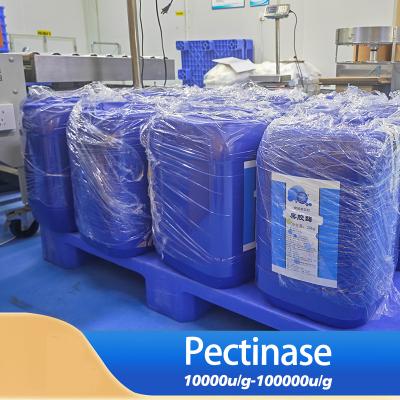 China Pectinase Product 20000U/g Enzymes In Fruit Juice Production Ppt Customized Enzyme Activity for sale