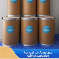 China Baking Alpha Amylase Powder 5000SKB-100000SKB Providing Enzyme Preparation Sample for sale