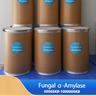 China Baking Alpha Amylase Powder 5000SKB-100000SKB Providing Enzyme Preparation Sample for sale