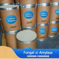 China Amylase For Baking 100000SKB For Baking Bread Customizing Enzyme Activity Specifications for sale