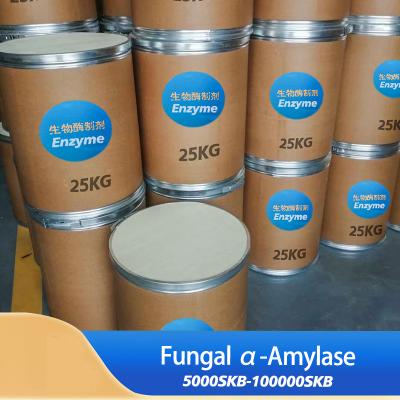 China Amylase For Baking 100000SKB For Baking Bread Customizing Enzyme Activity Specifications for sale