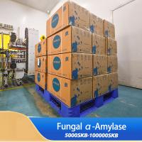 China Delaying Aging α-Amylase Fungal Alpha Amylase For Bread Making for sale