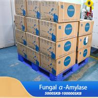China Baking Industry Enzymes 100000SKB Amylase Enzyme For Bread for sale