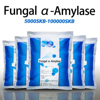 China Amylase Enzyme Baking 5000SKB-100000SKB Amylase Powder For Baking for sale
