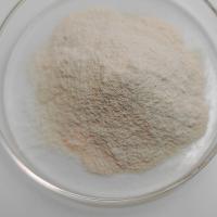 China tannase 500U/G use in food and tea beverage  customizing enzyme activity specifications for sale