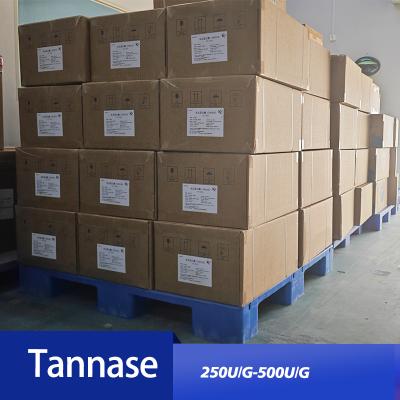 China tannase 500U/G use in food and tea beverage  customizing enzyme activity specifications for sale